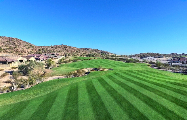 Home - Golf Club of Estrella